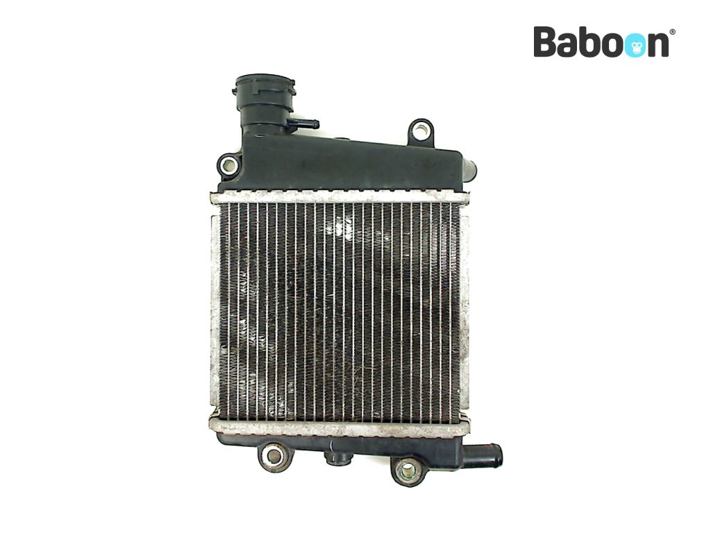Yamaha NMAX 125 2017-2020 (SEC71 BV3) Radiator | Baboon Motorcycle Parts