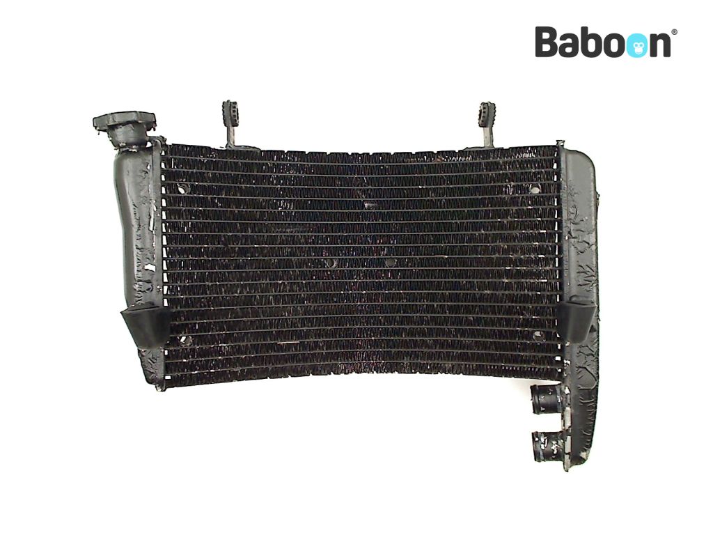 Ducati 749 Radiator | Baboon Motorcycle Parts
