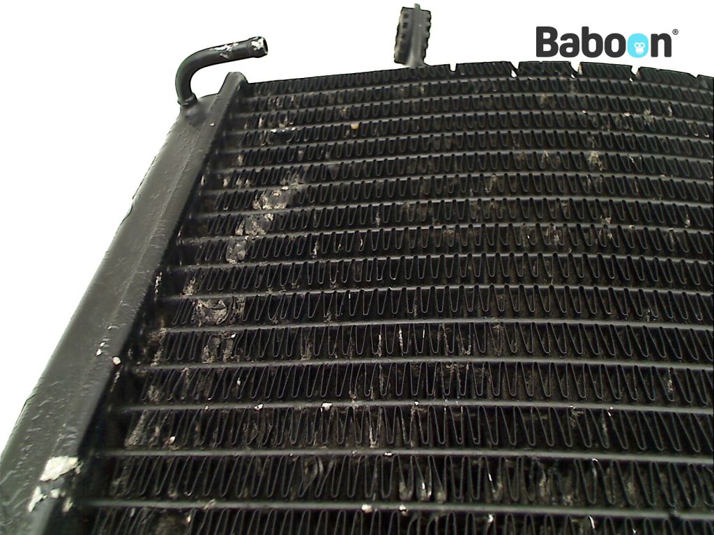 Ducati 749 Radiator | Baboon Motorcycle Parts