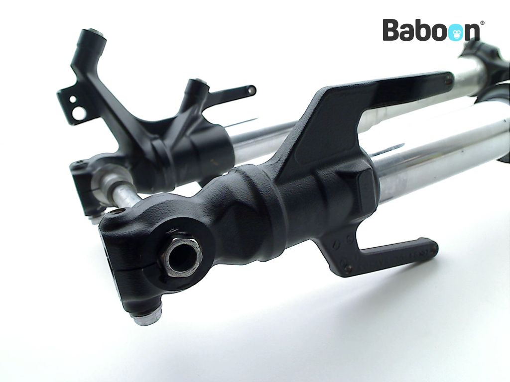 Honda CB 125 R 2018-2020 (CB125R JC79) Front Fork | Baboon Motorcycle Parts