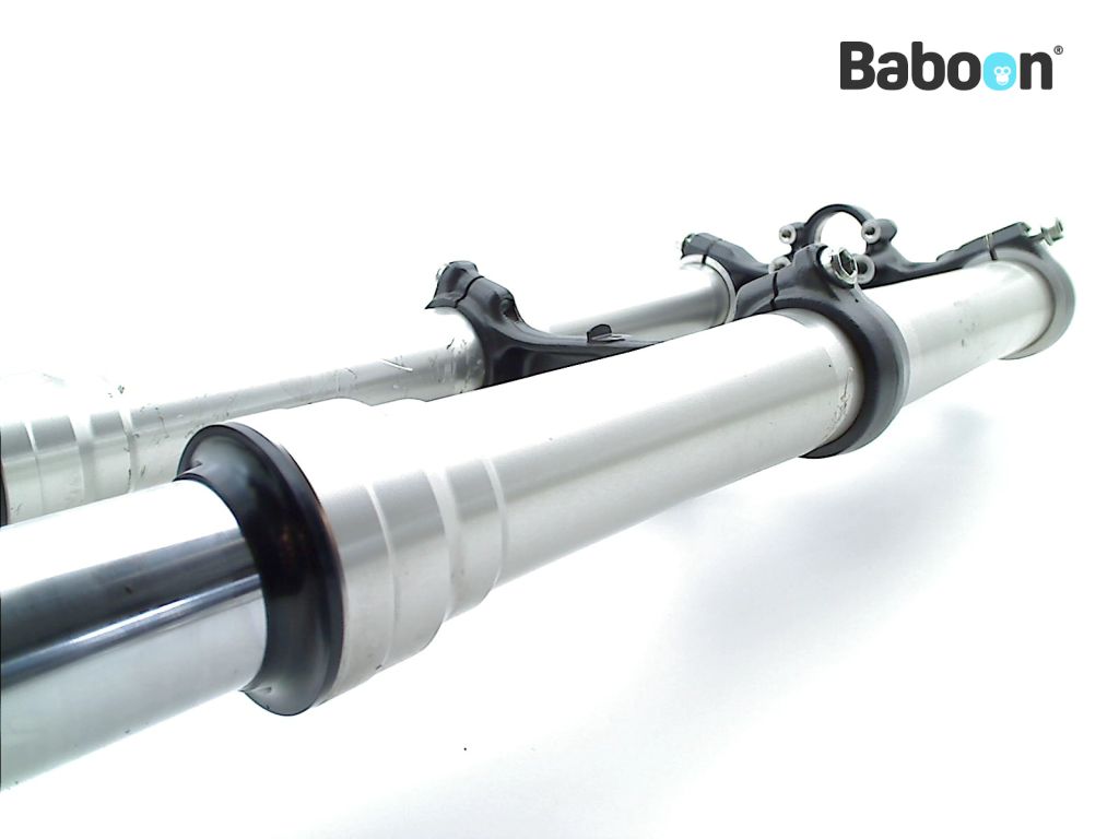Honda CB 125 R 2018-2020 (CB125R JC79) Front Fork | Baboon Motorcycle Parts