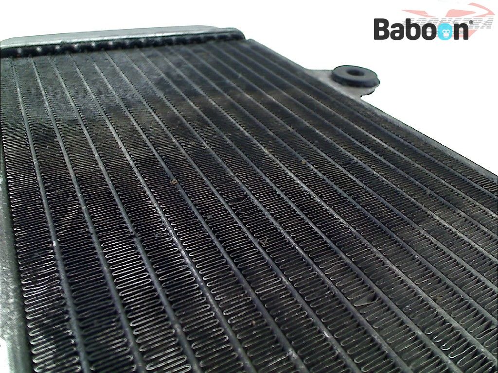 Yamaha XT 660 X 2004-2014 (XT660X) Radiator | Baboon Motorcycle Parts