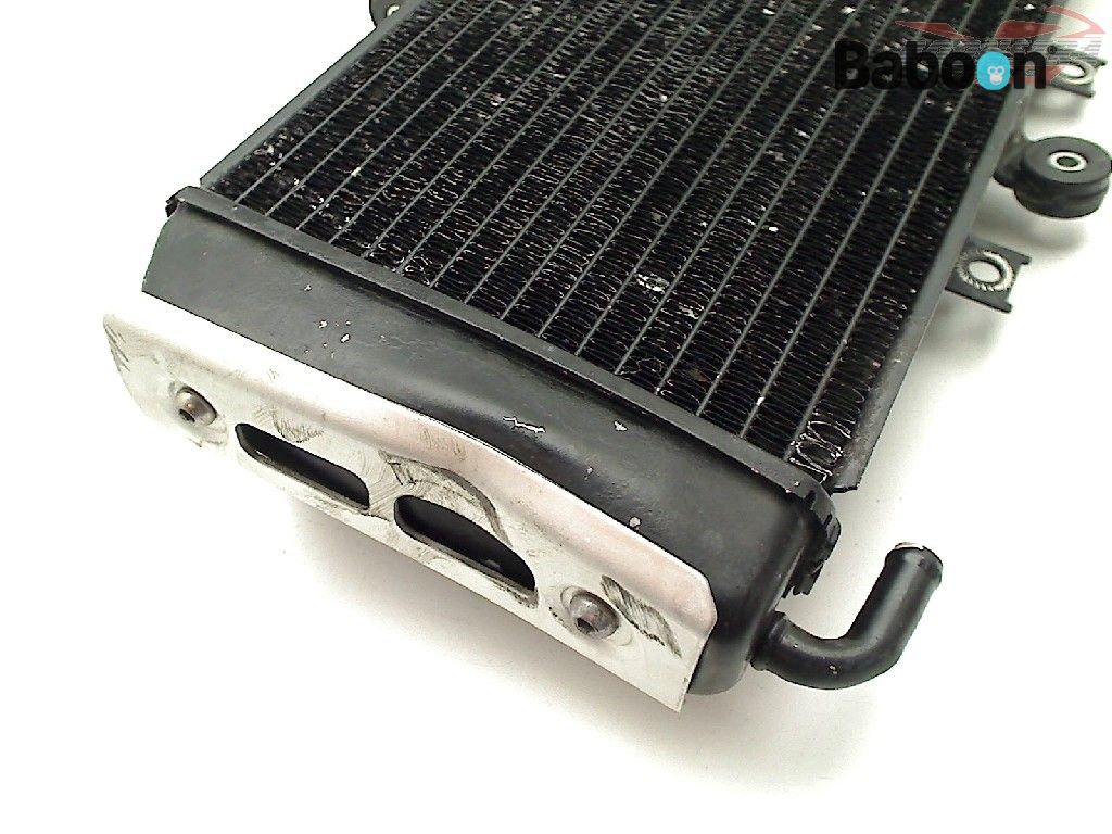 Yamaha FZS 600 Fazer 1998-2001 (FZS600) Radiateur | Baboon Motorcycle Parts
