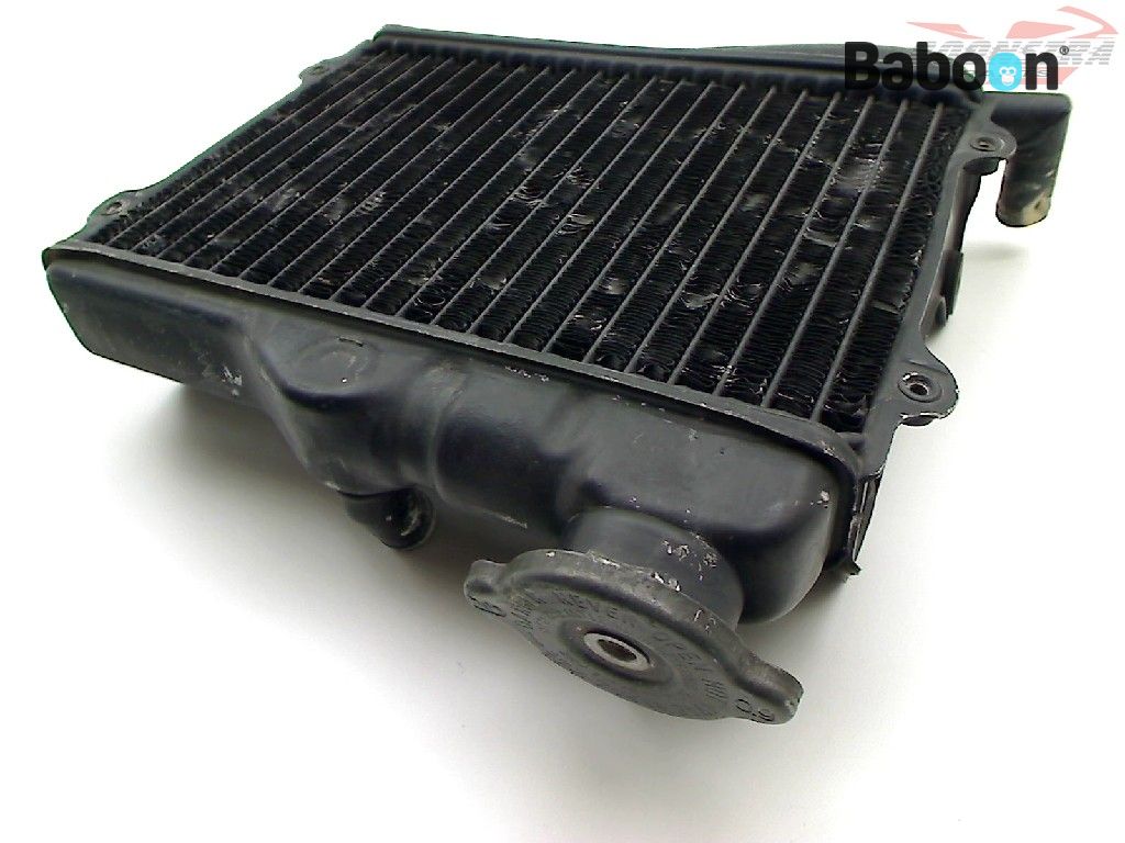 Yamaha RD 350 LC 1981-1983 (RD350LC 4L0) Radiador (122100-3000 ...