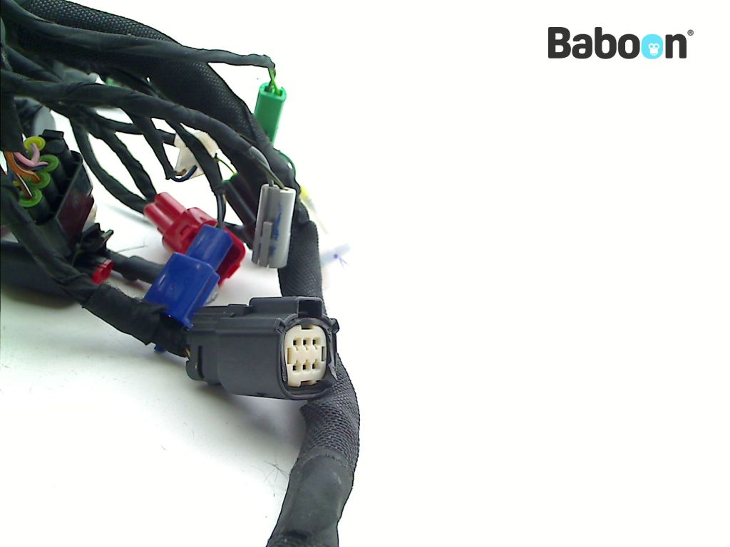 KTM 125 Duke 2021-2022 Wiring Harness (Main) | Baboon Motorcycle Parts