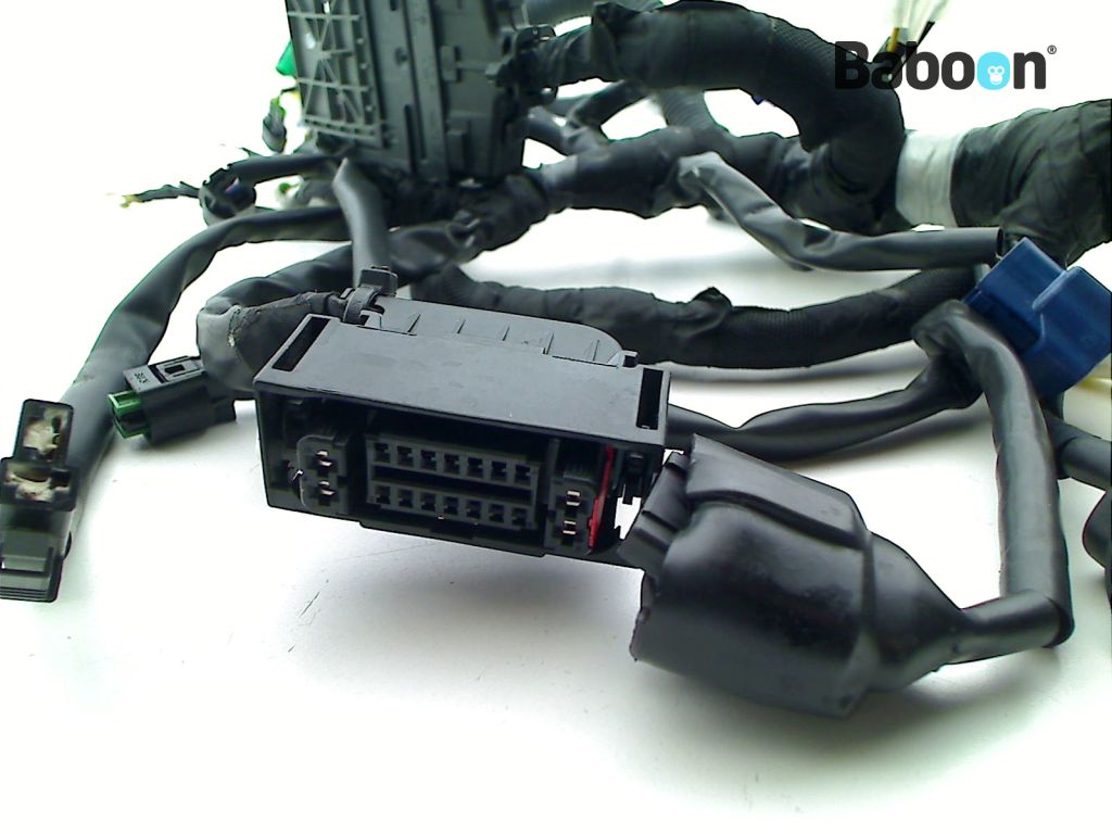 KTM 125 Duke 2021-2022 Wiring Harness (Main) | Baboon Motorcycle Parts