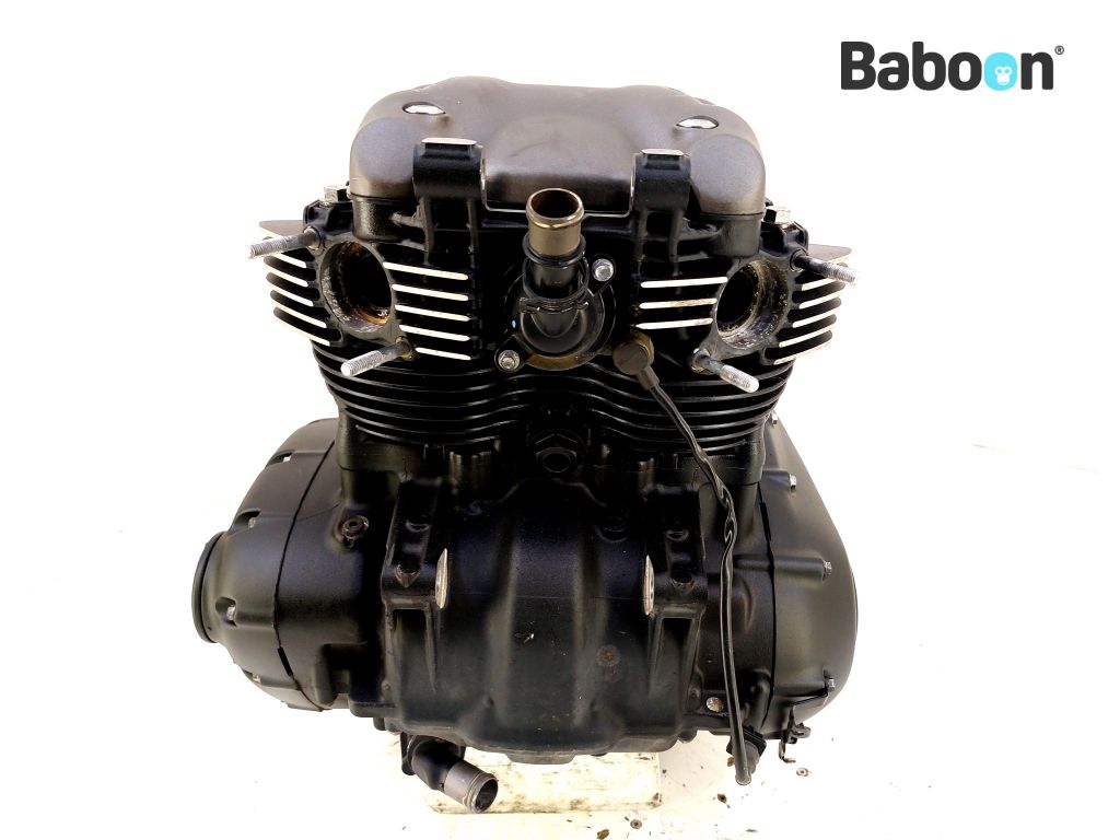 Triumph Street Twin 900 2019-> Engine Motor | Baboon Motorcycle Parts