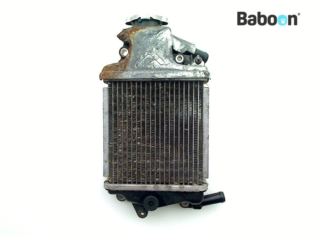 Honda PCX 125 2017-2018 (PCX125 JF64A) Radiador | Baboon Motorcycle Parts