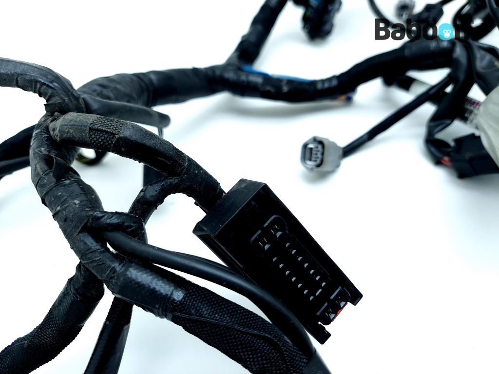 Kawasaki Ninja 650 2020-2021 (EX650N-M) Wiring Harness (Main) (26031 ...