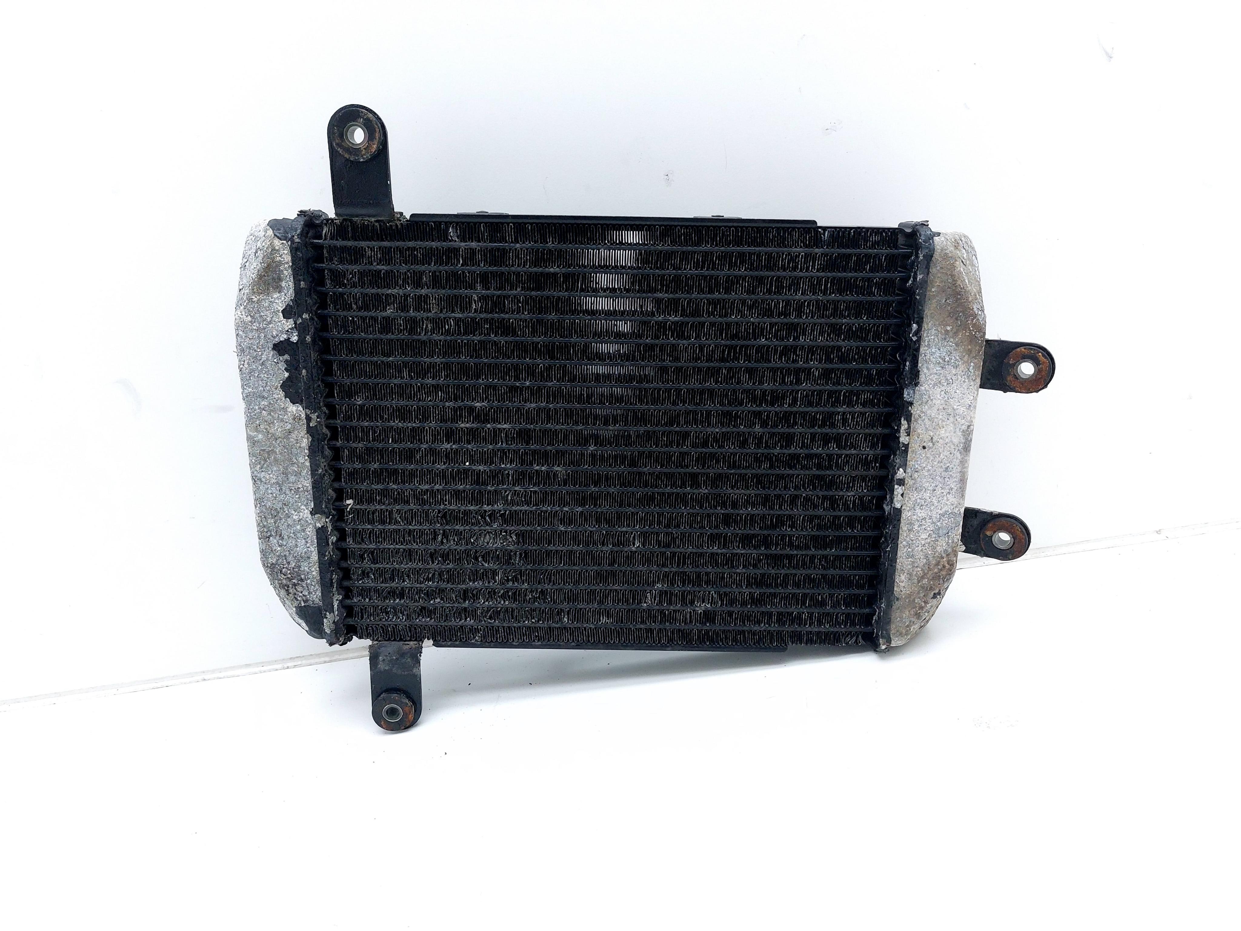 Suzuki AN 400 Burgman 1998-2000 (AN400) Radiador | Baboon - World of ...