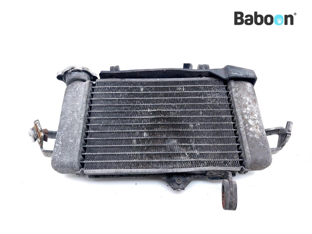 Yamaha YZF R 125 2008-2013 (YZF-R125) Radiator | Baboon Motorcycle Parts