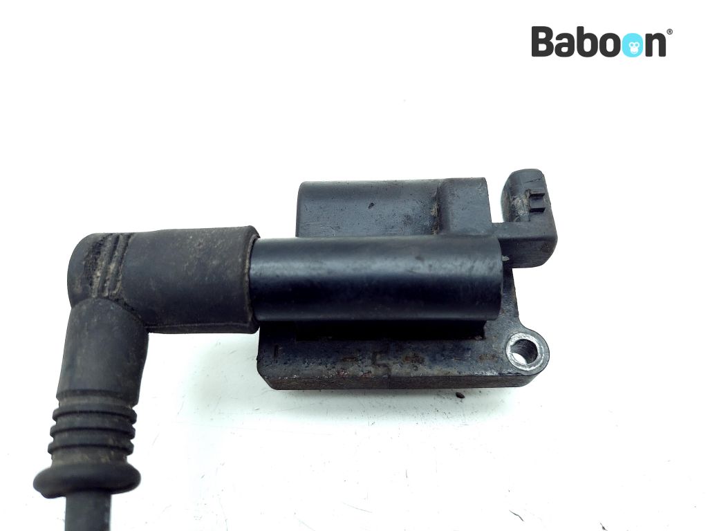 Ducati Monster 696 2008-2014 (M696) Ignition Coil | Baboon Motorcycle Parts