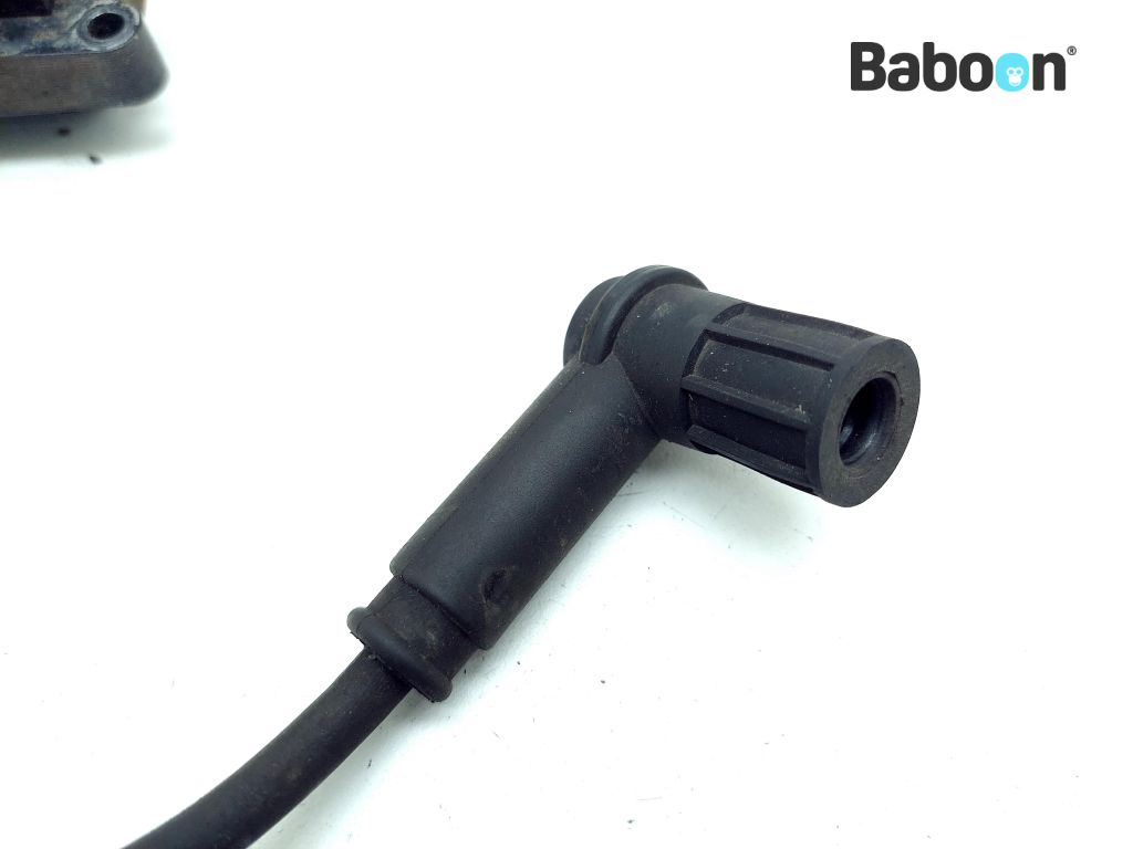 Ducati Monster 696 2008-2014 (M696) Ignition Coil | Baboon Motorcycle Parts