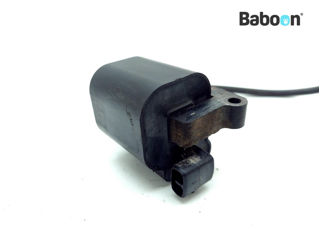 Ducati Monster 696 2008-2014 (M696) Ignition Coil | Baboon Motorcycle Parts