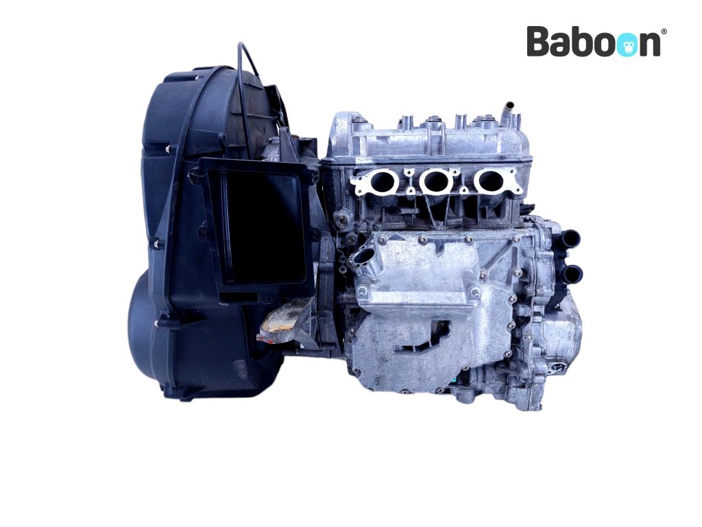 Can-Am Ryker 900 ACE 2019-2021 Motorblok | Baboon Motorcycle Parts