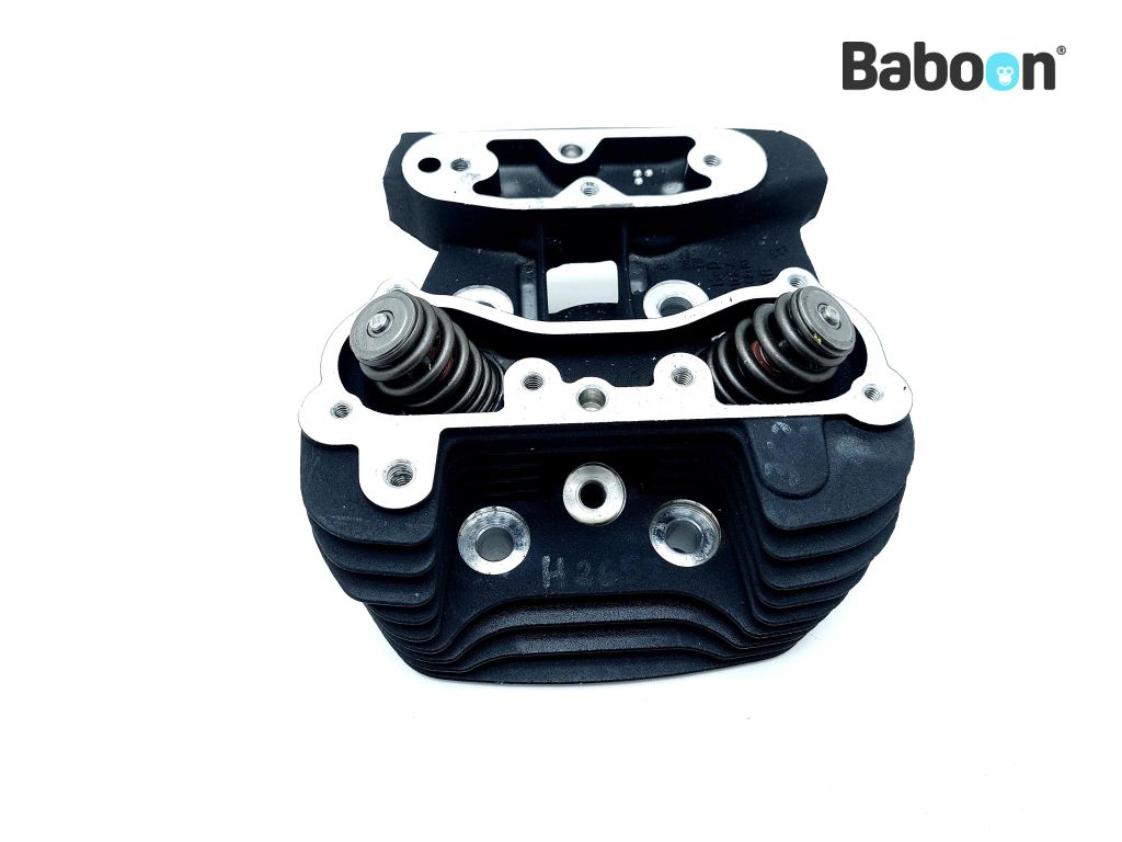 Harley-Davidson XL 883 N Sportster Iron 2014-2018 Cylinder Head Rear ...