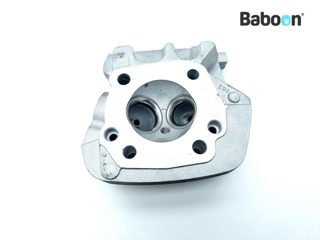 Harley-Davidson XL 883 Sportster 1988-1995 Cylinder Head Front (16663 ...