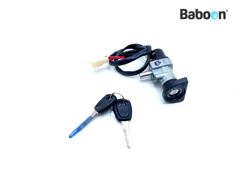 Harley-Davidson XG 500 Street 2019-2020 Ignition Switch | Baboon ...