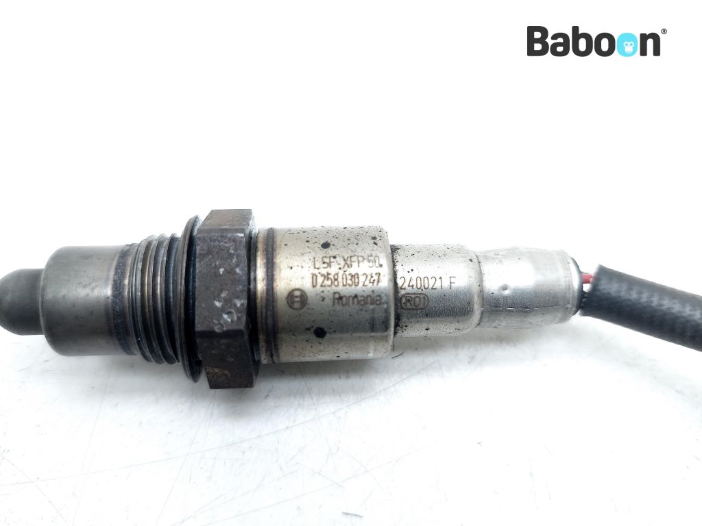 Ducati Multistrada 960 V2 S 2022 Oxygen Sensor | Baboon Motorcycle Parts
