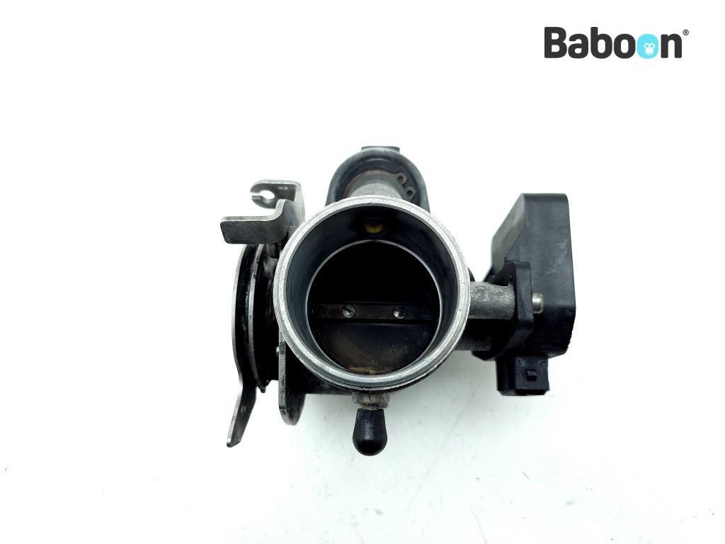 BMW R 1100 GS (R1100GS 94) Throttle Body Assy Left | Baboon Motorcycle ...