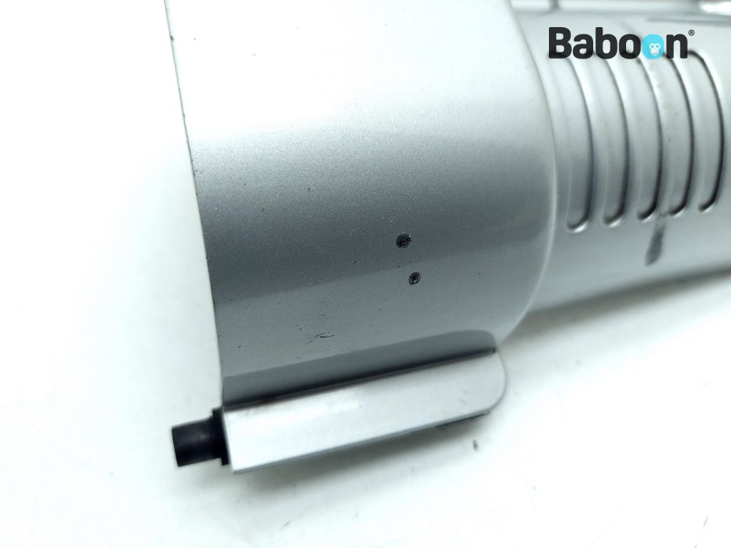 BMW R 1100 RS (R1100RS 93) Startmotor Afdekkap (1341307) | Baboon ...