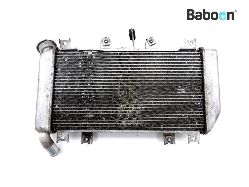 Kawasaki Ninja 400 2018-> Radiator | Baboon Motorcycle Parts
