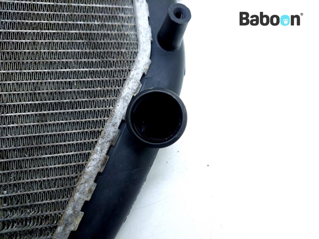 BMW K 1300 GT (K1300GT) Radiator (7720109) | Baboon Motorcycle Parts