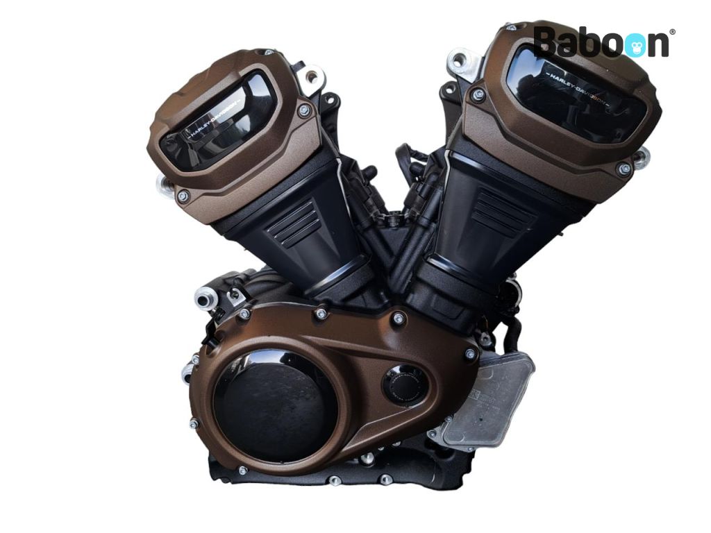 Harley-Davidson RH 1250 S Sportster 2021-2023 Engine Motor | Baboon ...