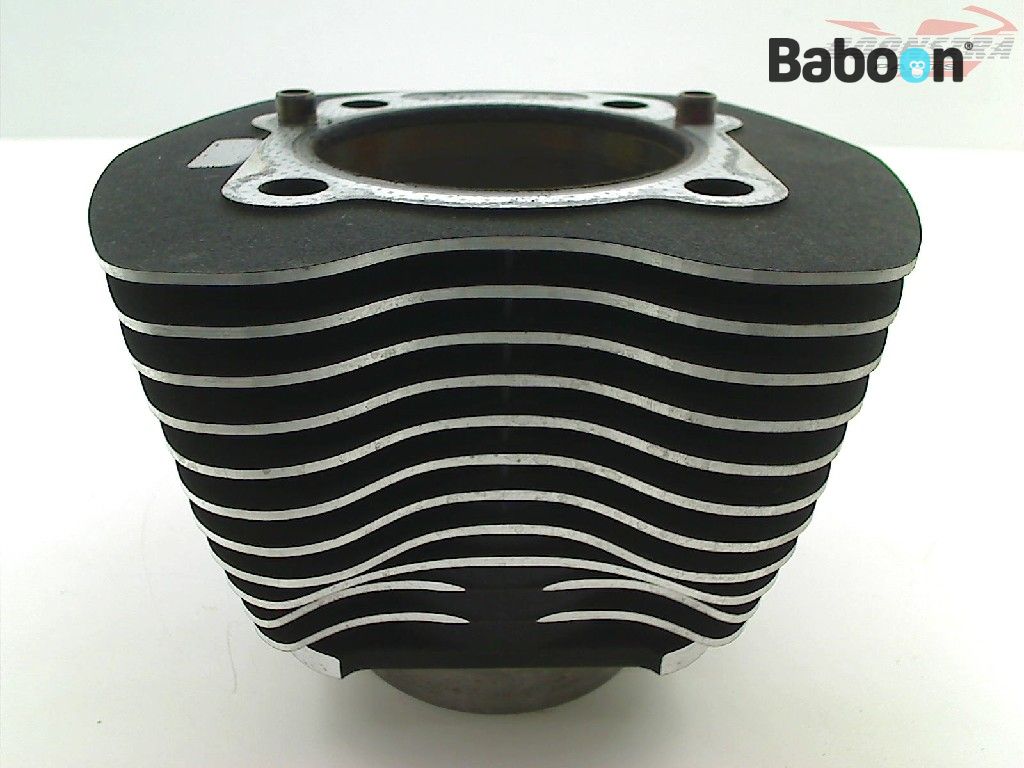 Harley-Davidson Twin Cam 88 Engine Cylinder (16593-99) | Baboon ...