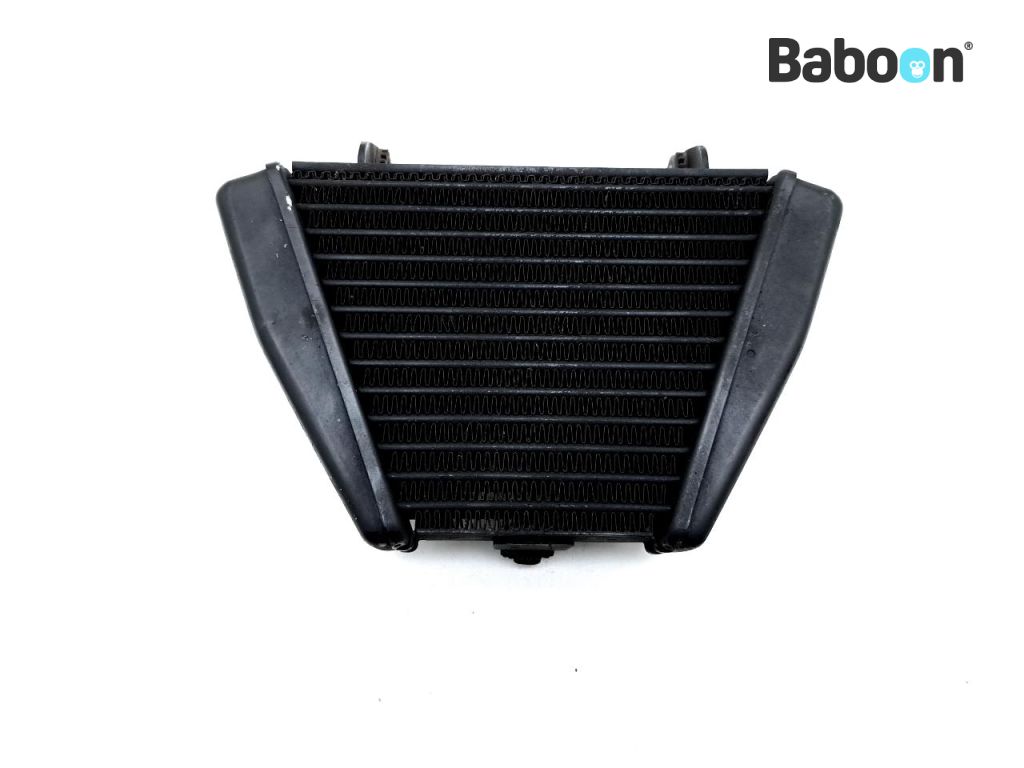 Ducati Diavel 2019-2022 Oil Cooler | Baboon Motorcycle Parts