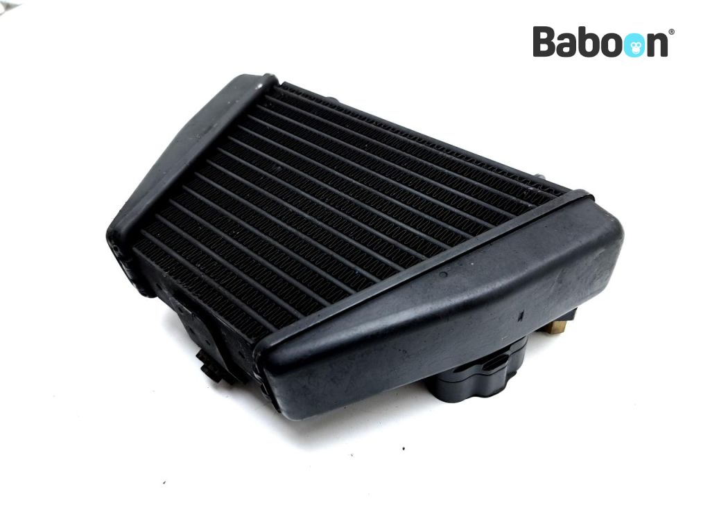 Ducati Diavel 2019-2022 Oil Cooler | Baboon Motorcycle Parts