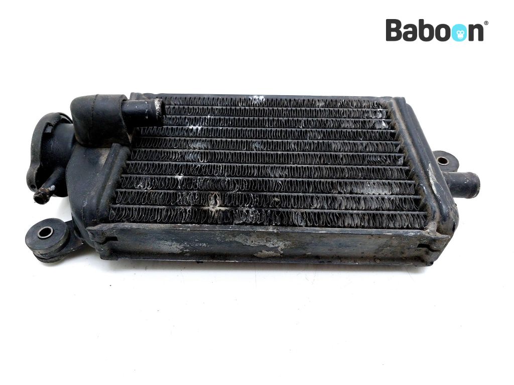 Yamaha DT 125 1982-1984 (DT125) Radiator | Baboon Motorcycle Parts