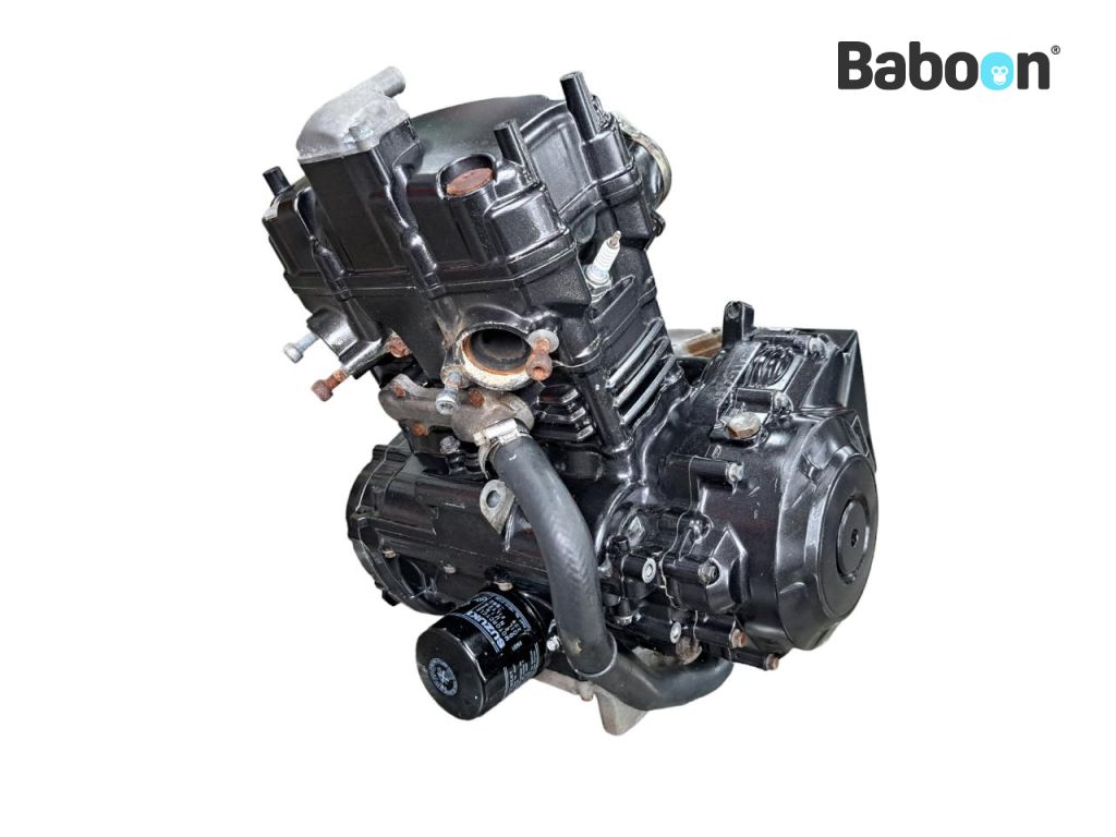 Suzuki DL 250 V-Strom 2017-2020 (DL250A) Engine Motor | Baboon ...