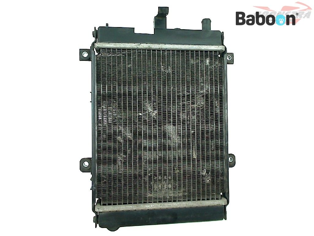Kymco Xciting 500 Radiator | Baboon Motorcycle Parts