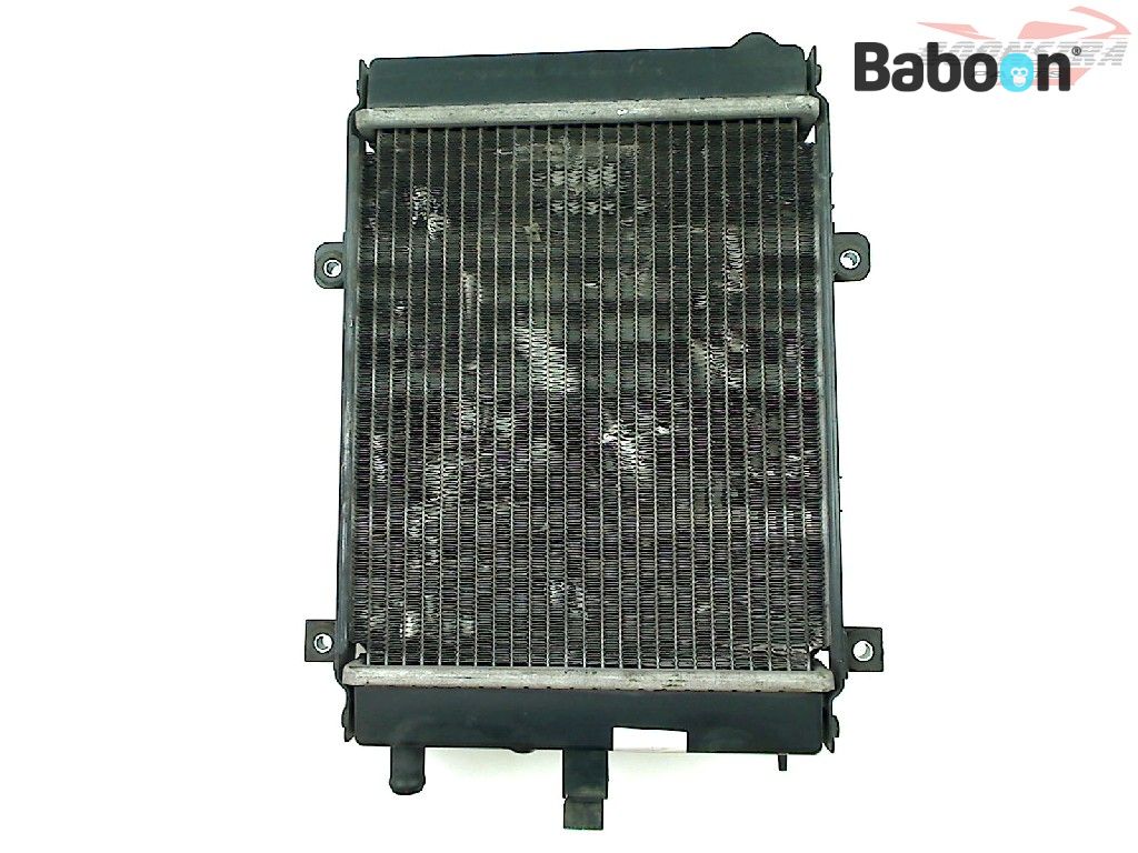 Kymco Xciting 500 Radiator | Baboon Motorcycle Parts