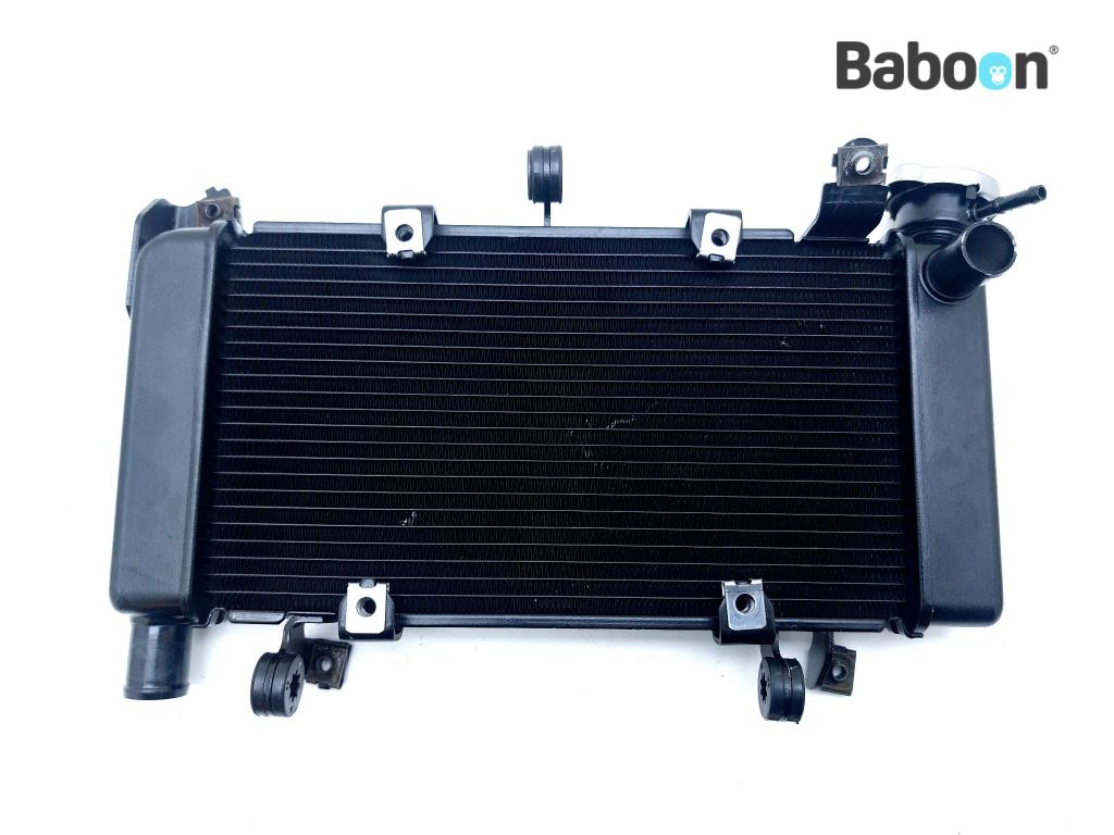 Honda NX 500 2024- Radiator | Baboon Motorcycle Parts
