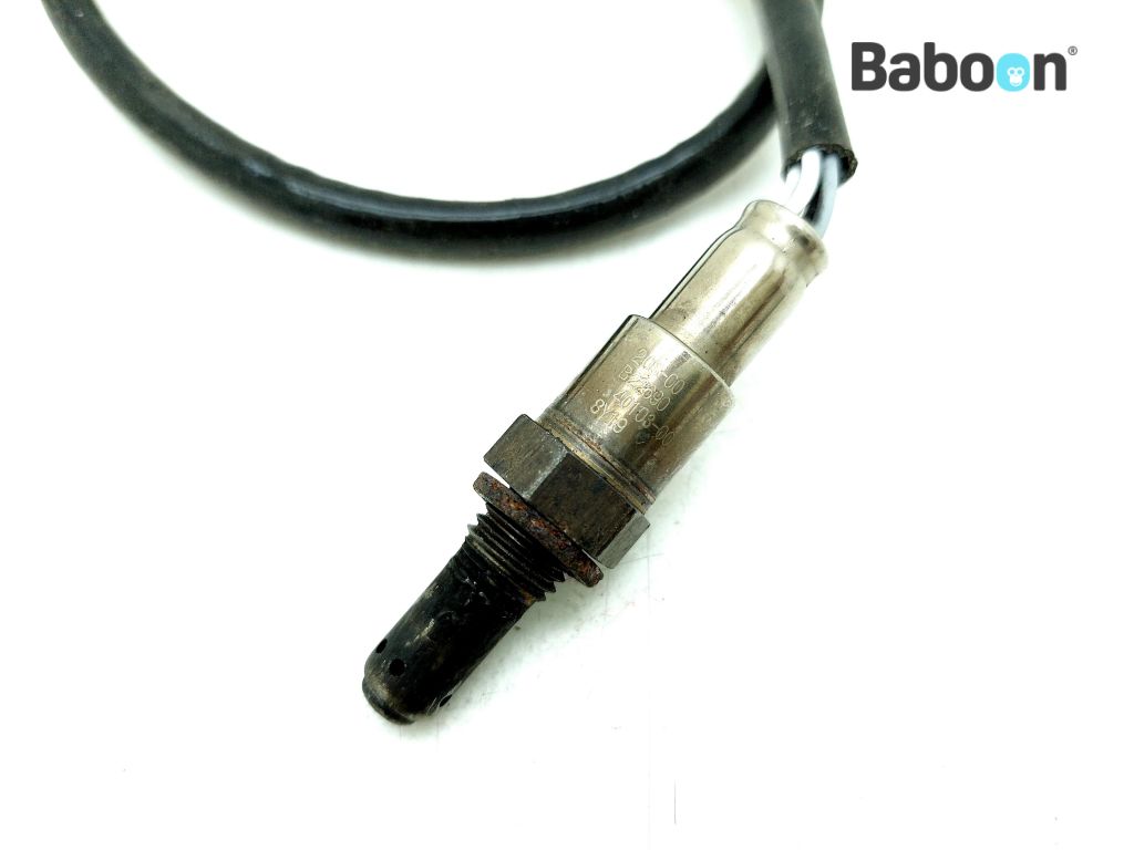 Yamaha XJ 6 2009-2012 (XJ6 Diversion) Sonda Lambda | Baboon Motorcycle ...