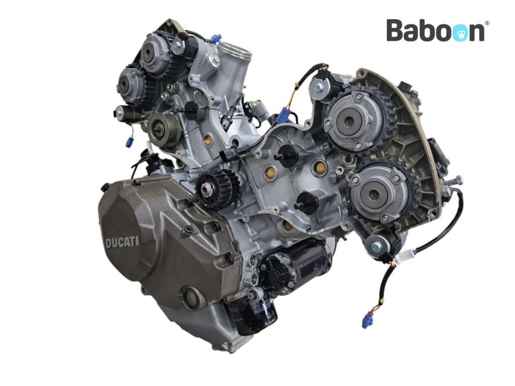 Ducati Multistrada 1200 2015-2017 (MTS1200) Motorblok | Baboon ...