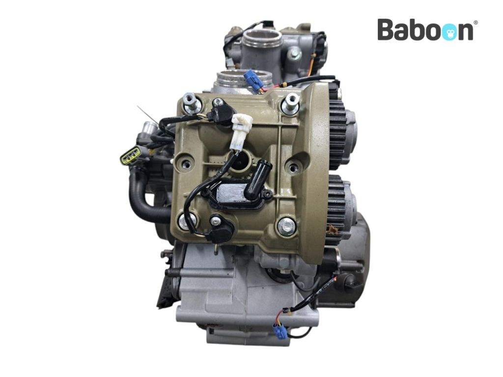 Ducati Multistrada 1200 2015-2017 (MTS1200) Motorblok | Baboon ...