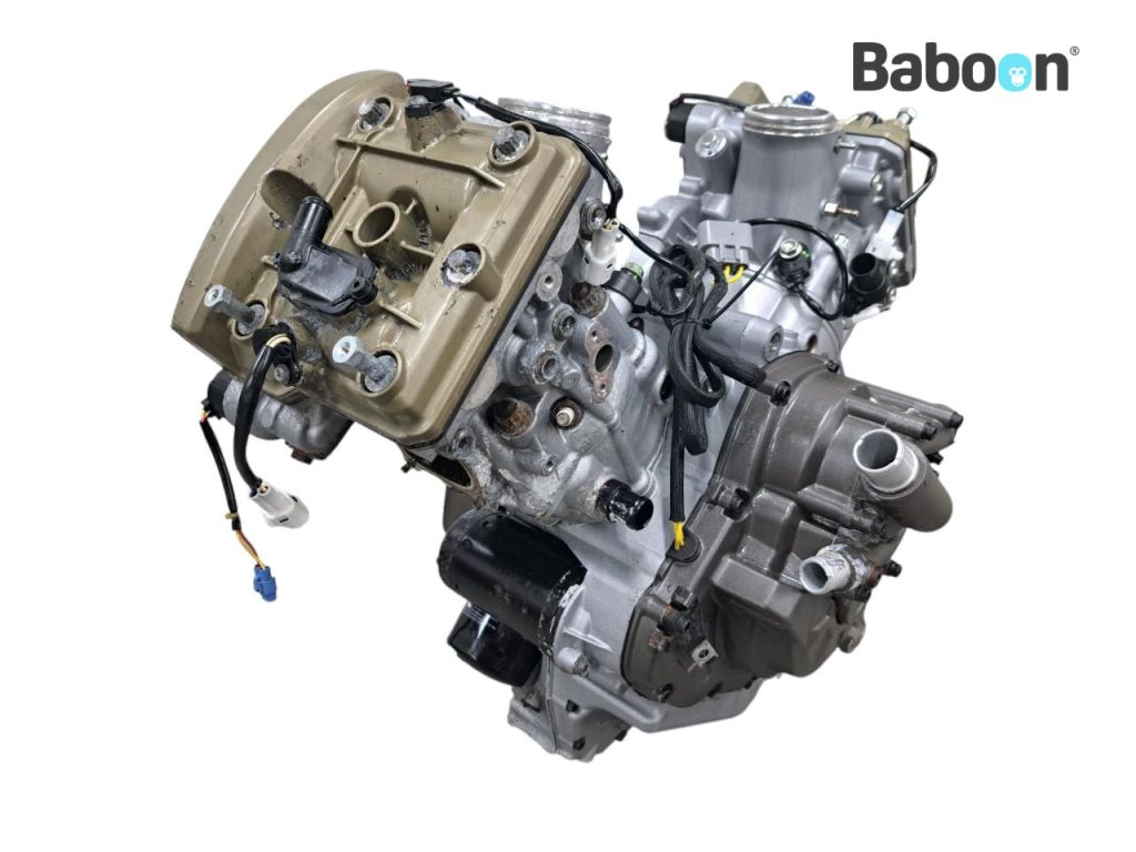 Ducati Multistrada 1200 2015-2017 (MTS1200) Motorblok | Baboon ...