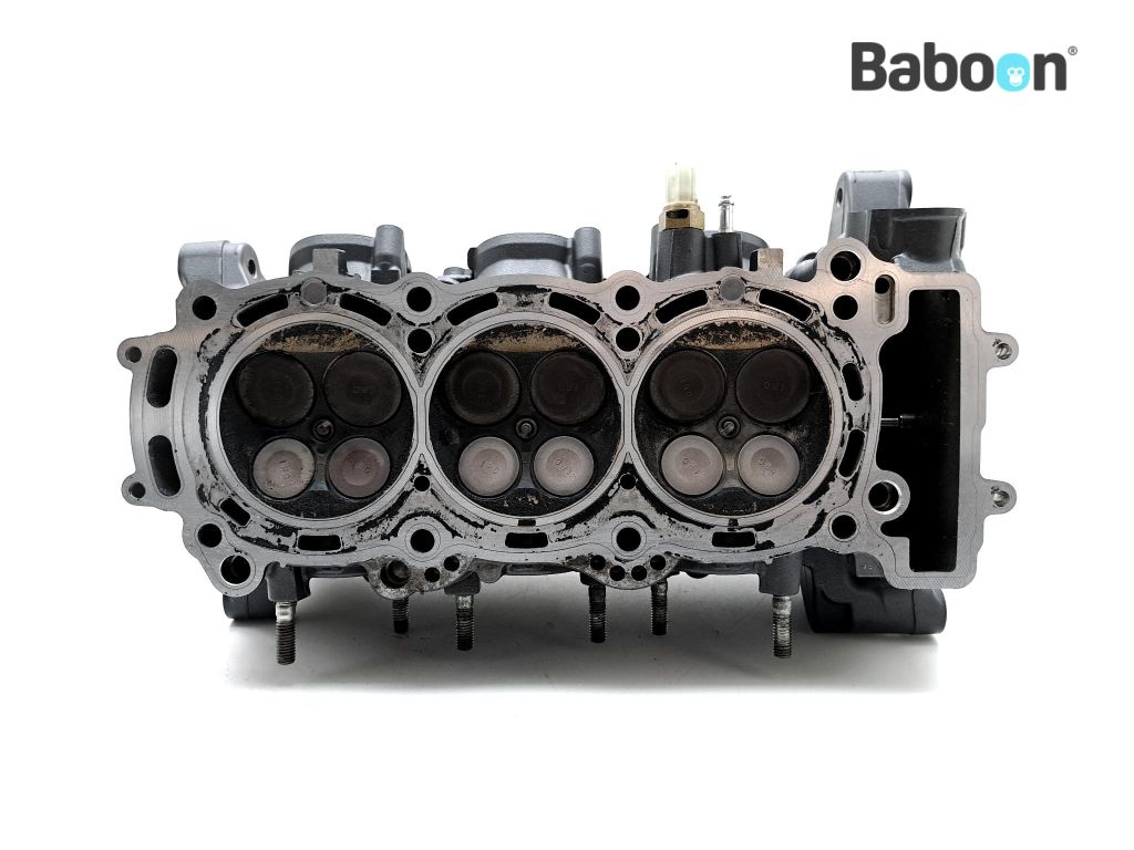 Yamaha MT 09 2021-2023 (MT-09) Cylinder Head | Baboon Motorcycle Parts